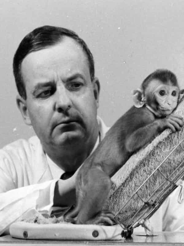 7 worst experiments in history