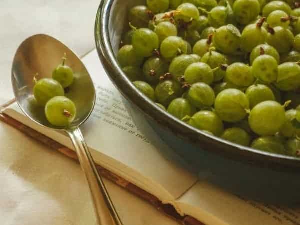 Indian Gooseberry: 10 benefits of eating amla in summer