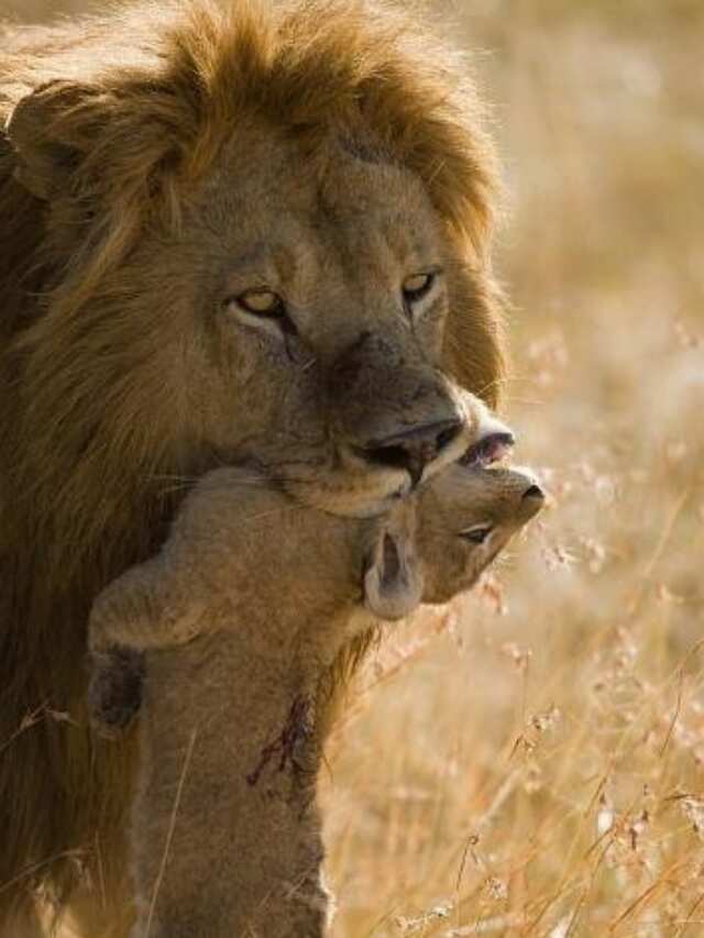 8 animal offspring who eat their own parents