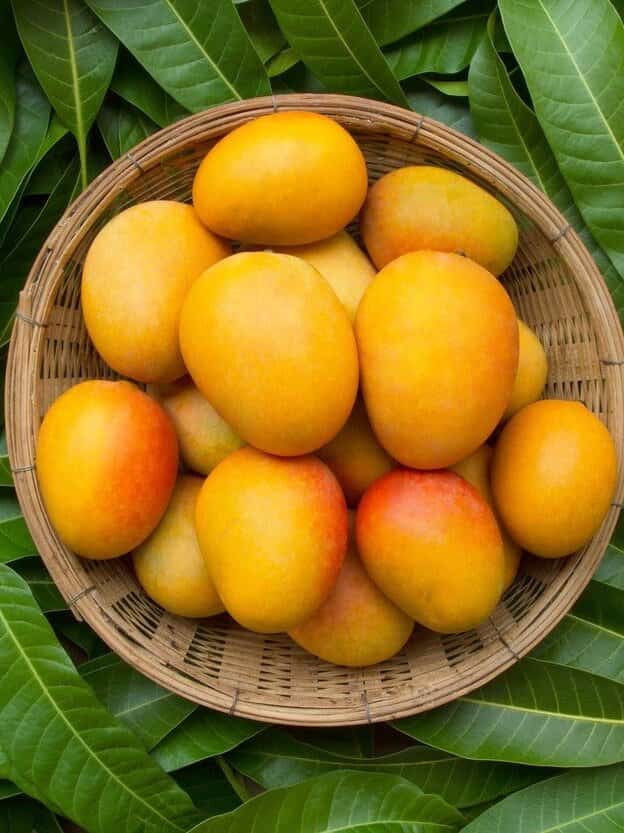 7 side effects of eating mangoes