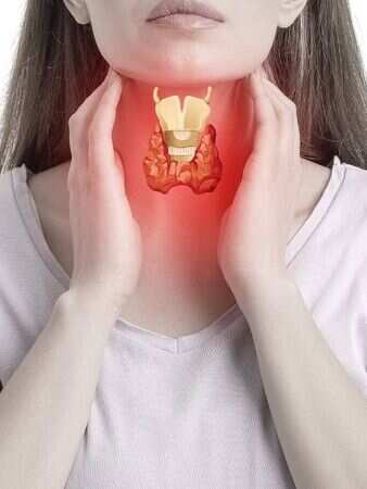 Superfoods to help control thyroid naturally