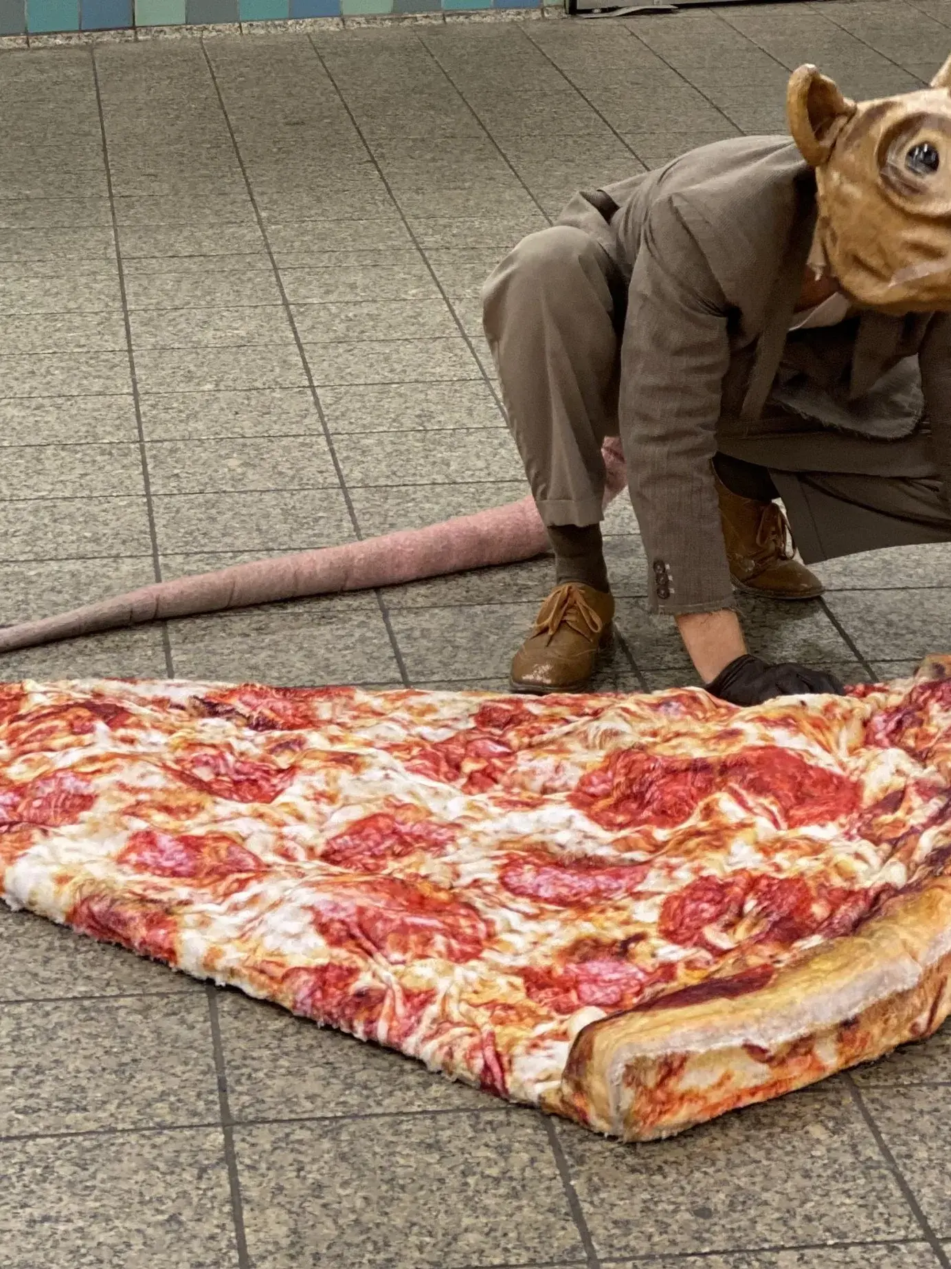 10 most viral animals of world