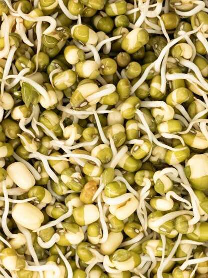 9 health benefits of adding sprouts to your diet