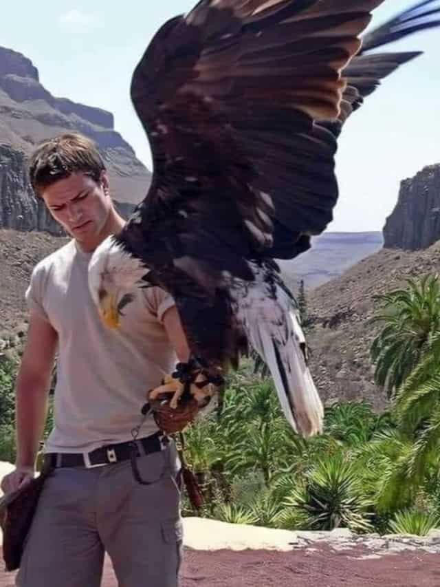 8 heavy birds that can fly