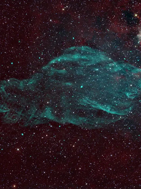 NASA's Hubble Telescope captures 7 nebulae that look like animals