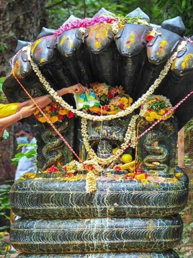 Nag Panchami 2024: 7 famous snake temples in India