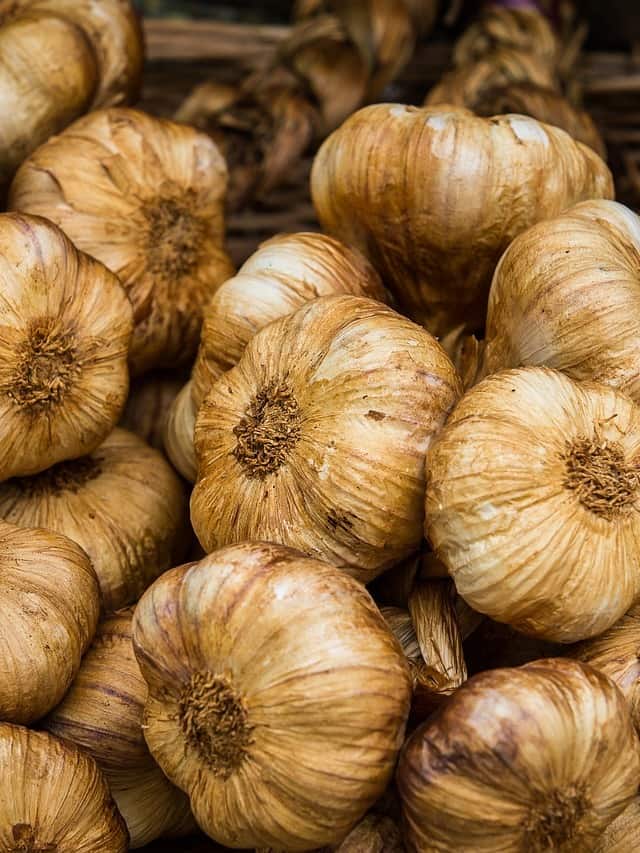 7 benefits of eating roasted garlic and how to eat without smelling bad
