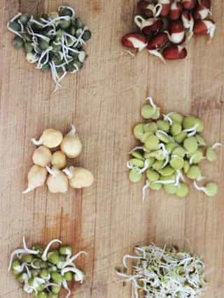 7 types of sprouts you should add to your diet