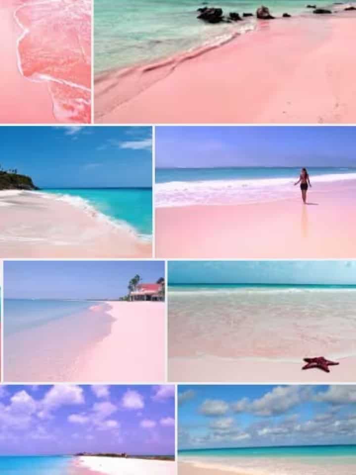 7 stunning pink beaches around the world