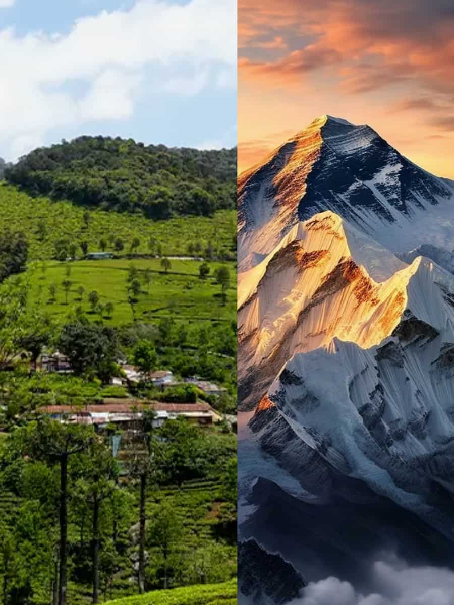 What is the difference between hills and mountains?