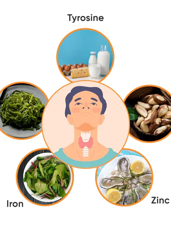 World thyroid day 2025: Top 8 nutrients to support your thyroid health
