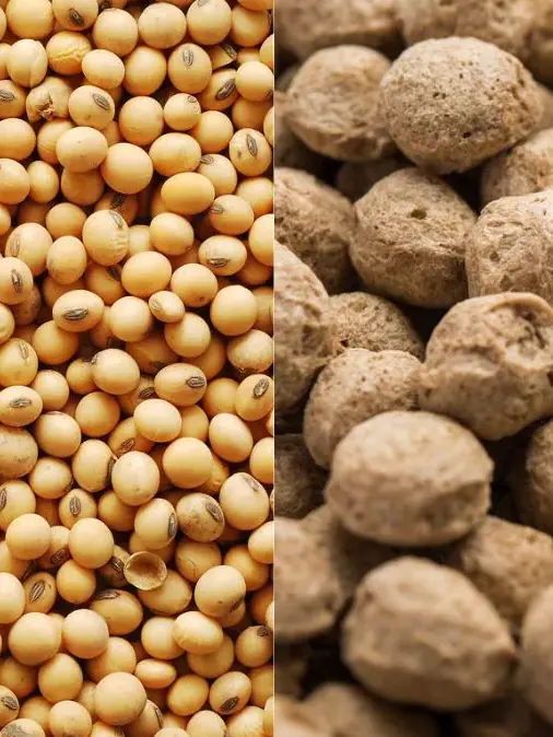 Soya Bean vs Soya Chunks: 8 key differences, nutritional profile ...