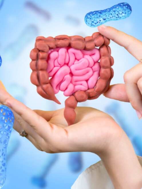 Improve gut health naturally: 7 foods to improve your bowel movement