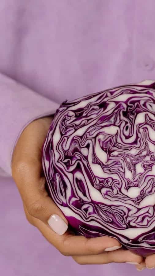 Strong bones: 10 health benefits of eating purple cabbage