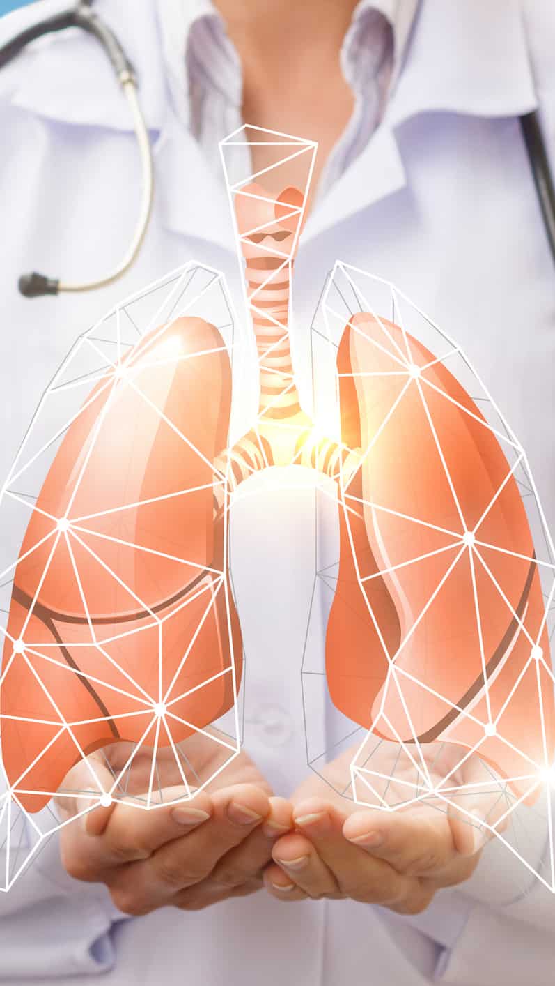 10 superfoods to improve lung health