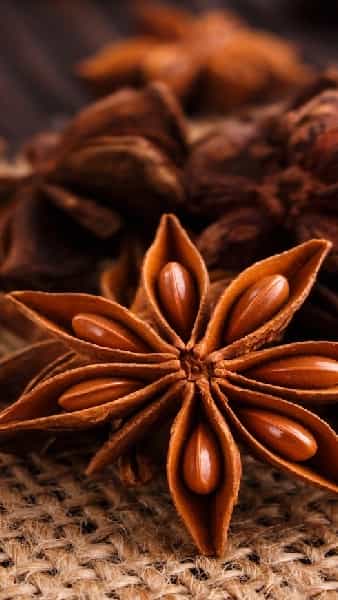7 Benefits of chakra phool (star anise)