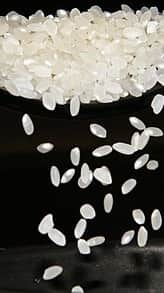 7 Most expensive rice varieties in India