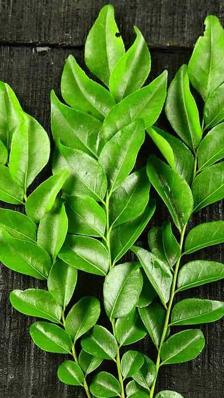 8 benefits of drinking curry leaves water every day