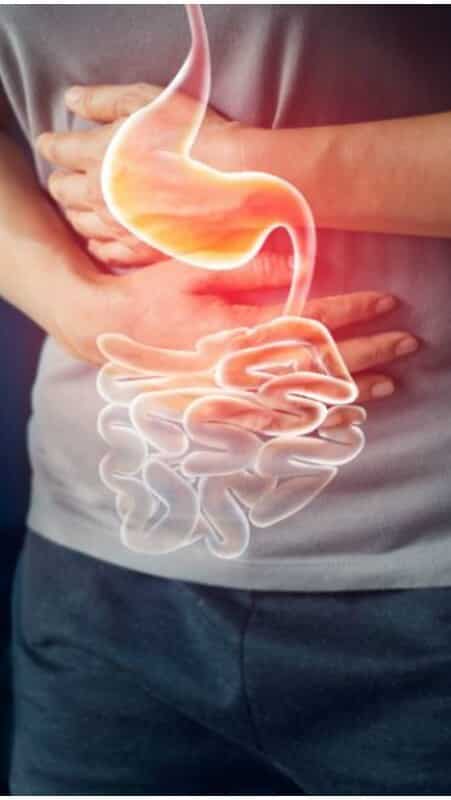 8 foods that help digestion