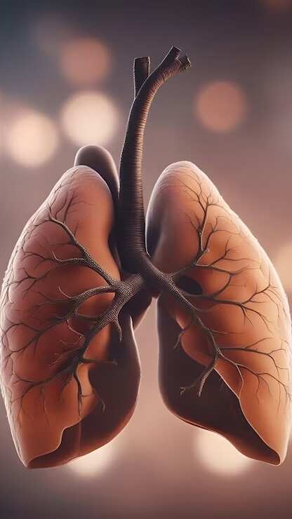 8 incredible herbs to boost your lung health