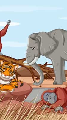 8 animals that can't jump