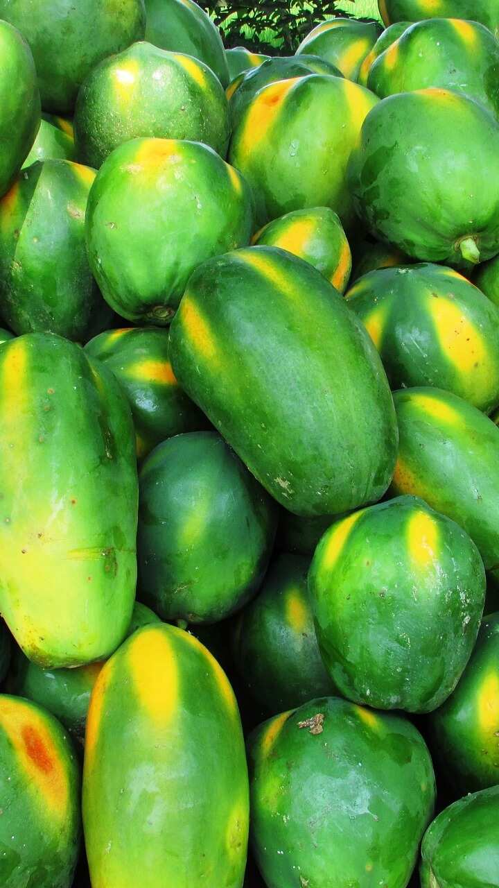 8 benefits of eating raw or green papaya