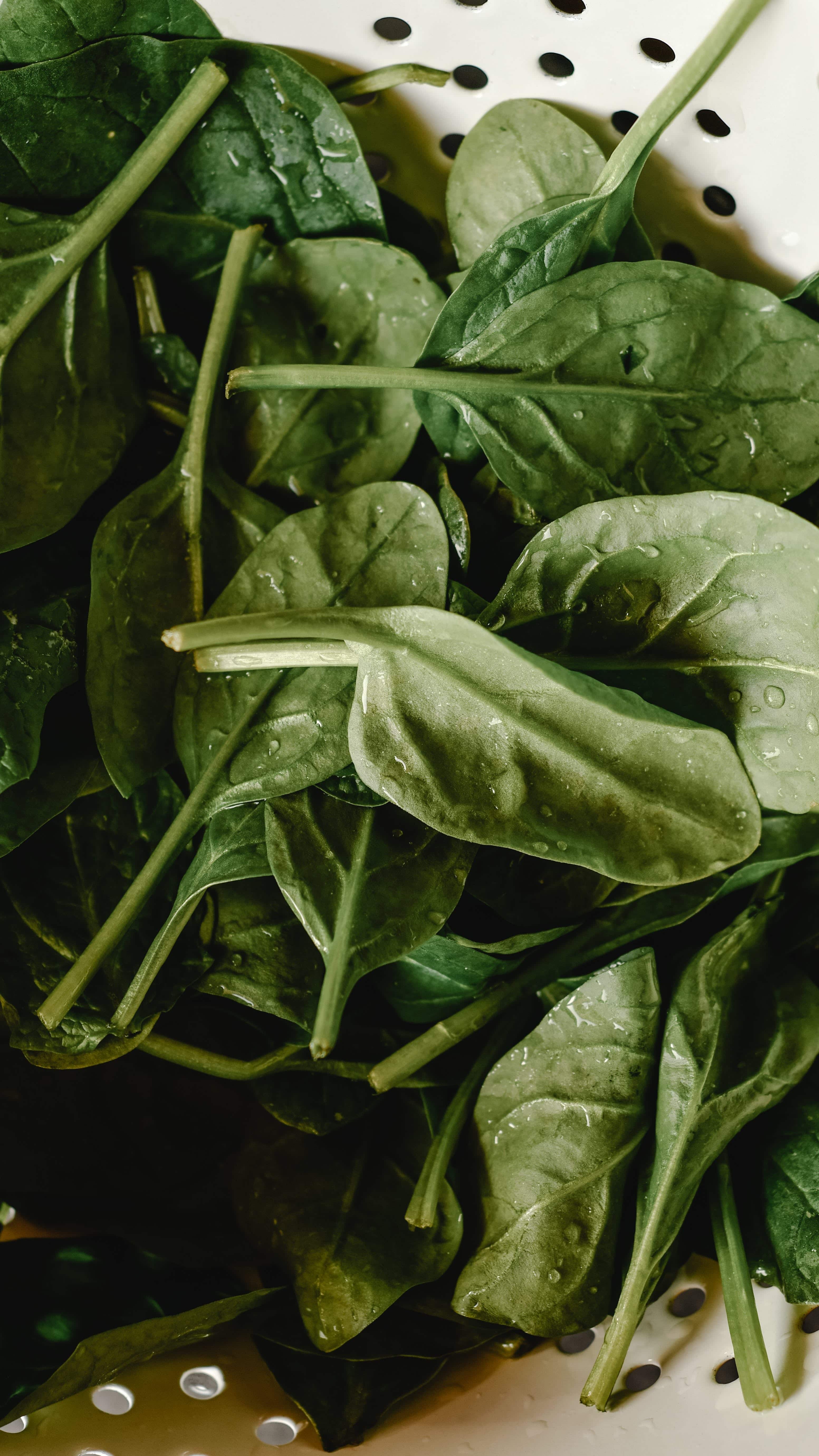 7 health benefits of eating spinach in winter