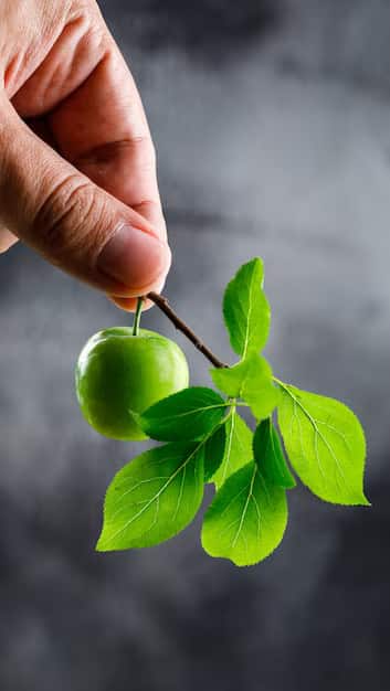 5 leaves to consume to reduce blood sugar and manage diabetes