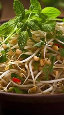 6 simple Indian sprout recipes for weight loss