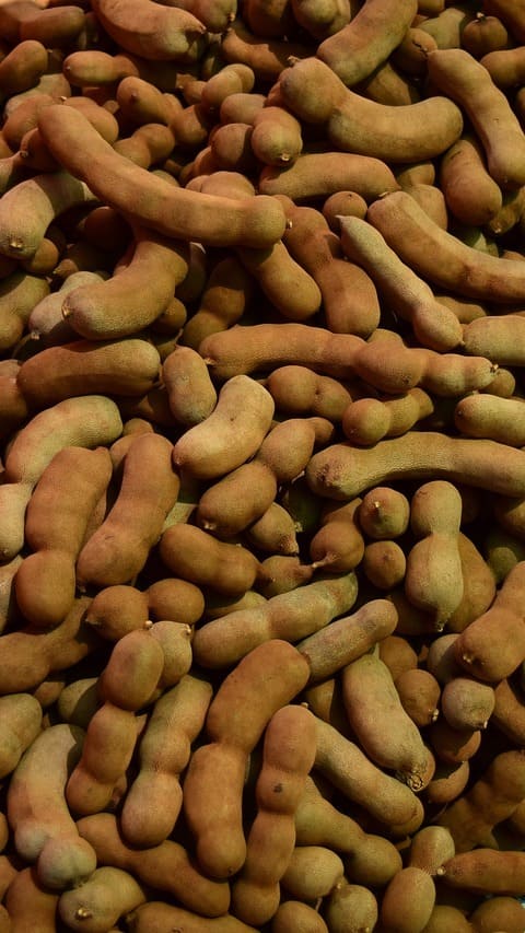 7 benefits of tamarind seeds