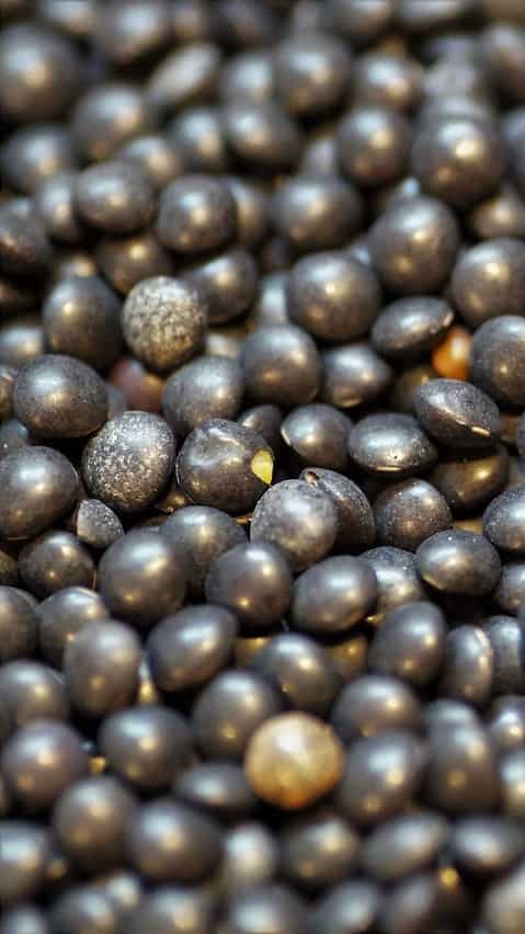 5 Black foods that are super-healthy