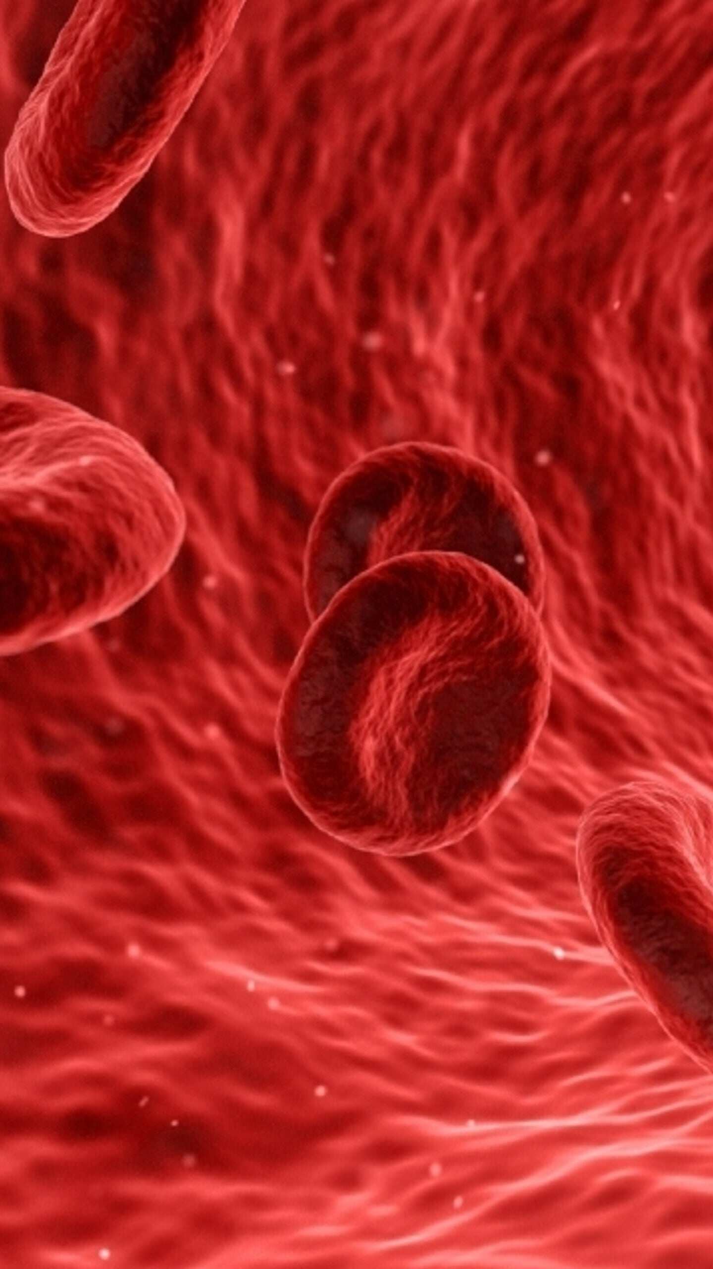 8 foods that work as natural blood purifier