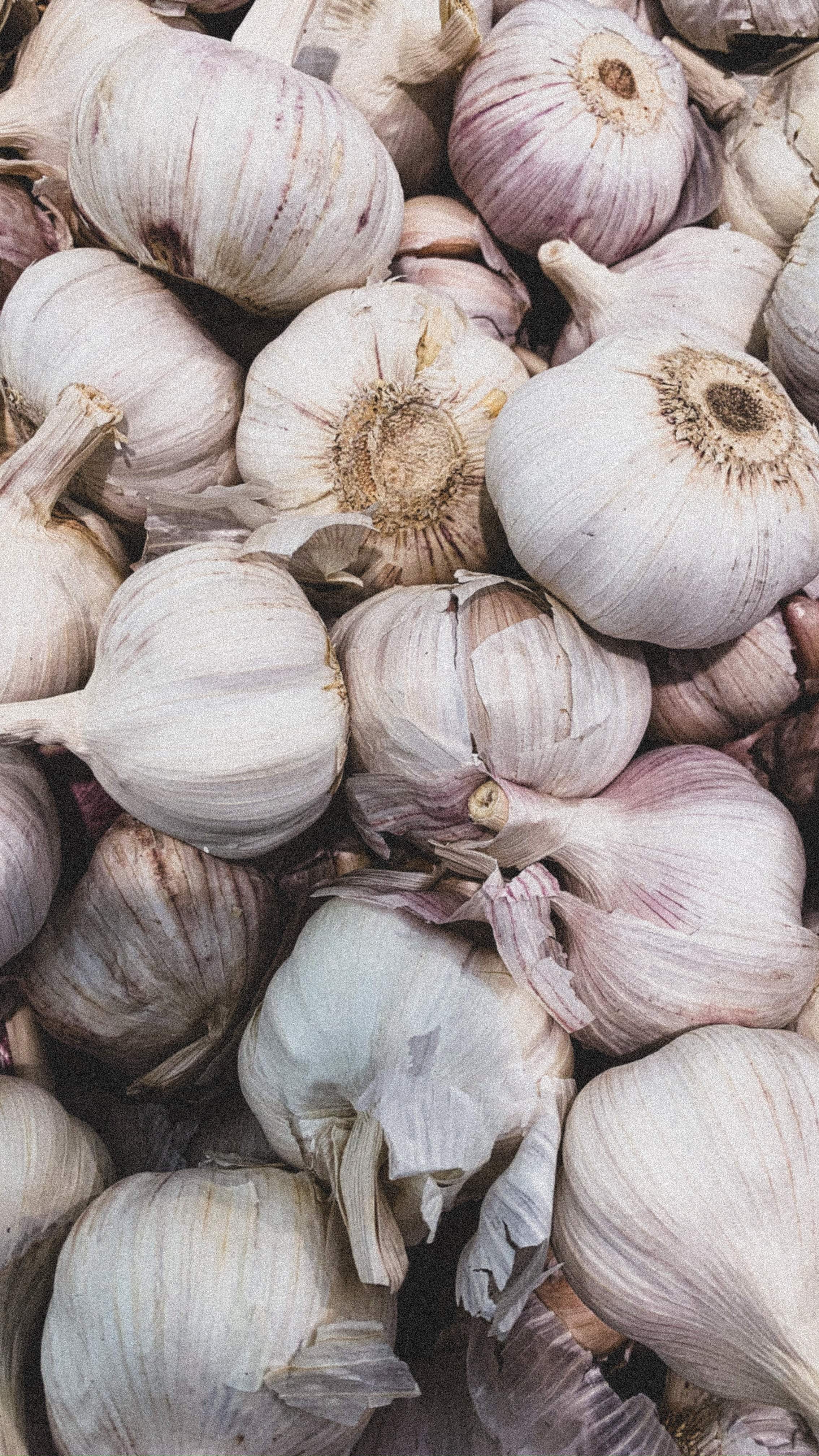 7 health benefits of garlic