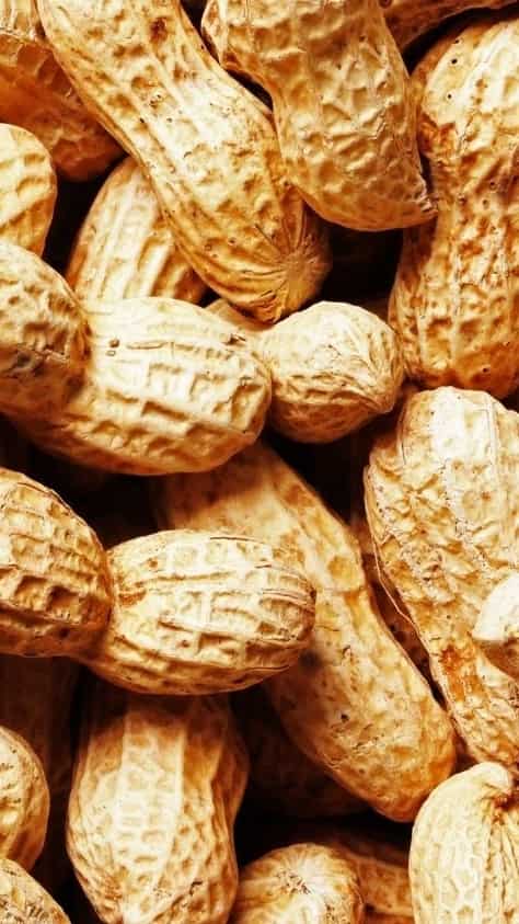 8 health benefits of eating groundnut