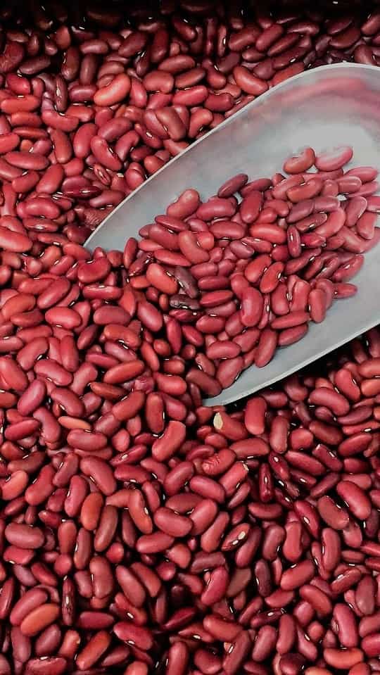 Benefits of eating rajma