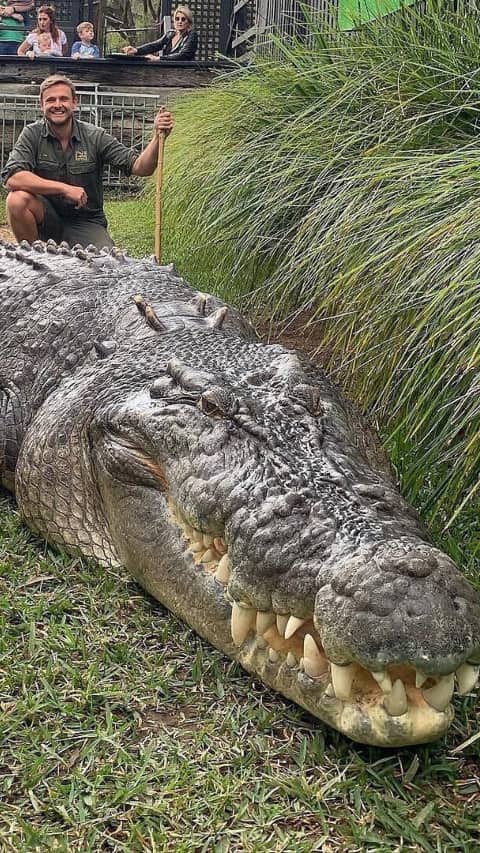 8 Oldest animal species that are still living