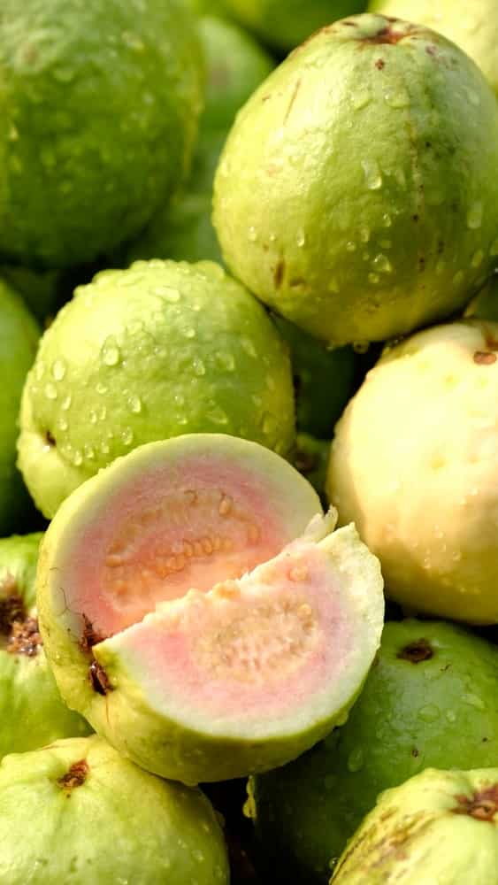 9 benefits of eating guava in winter
