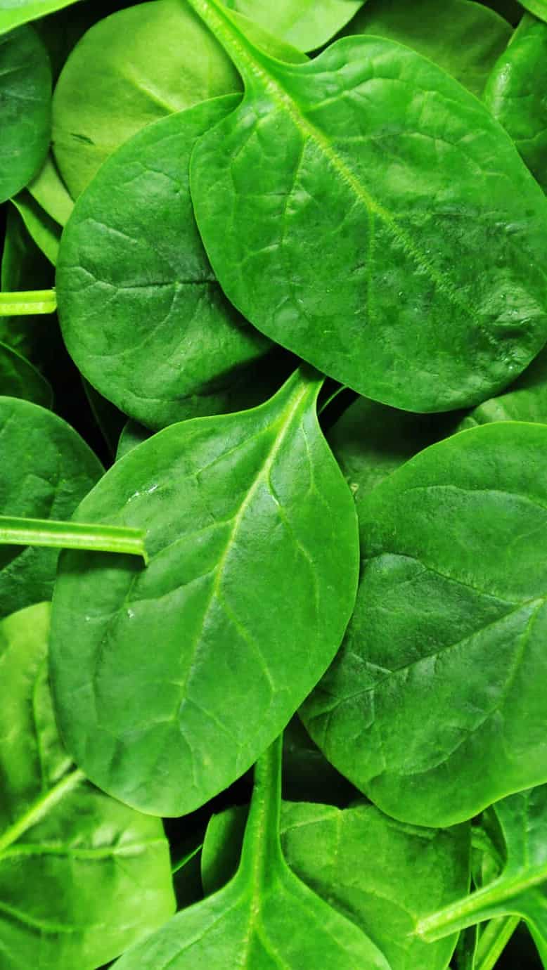 8 amazing leaves and their health benefits