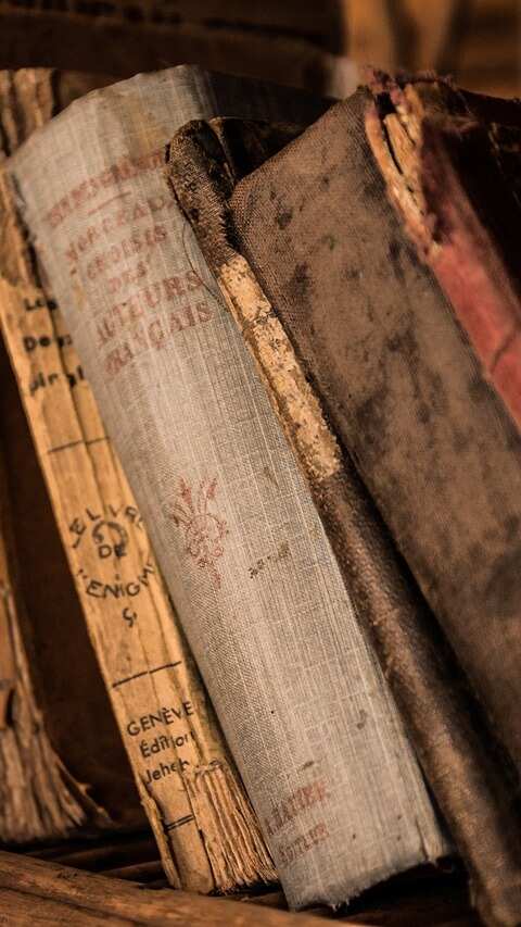 7 most expensive books in the world