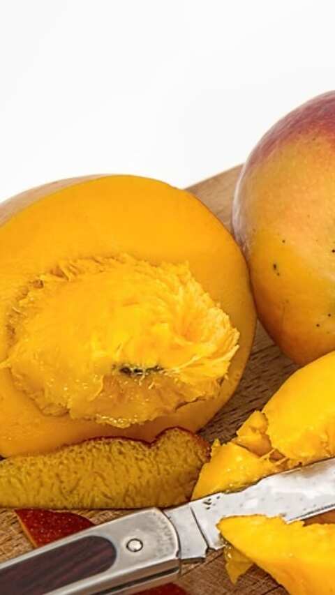 Benefits of mango seeds