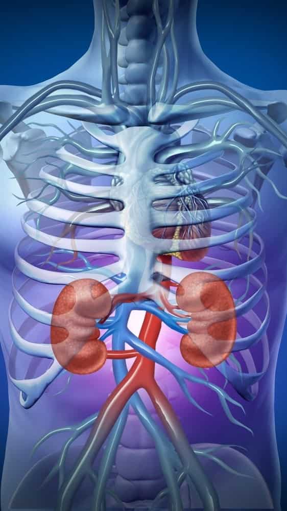 8 Things to keep your kidneys healthy