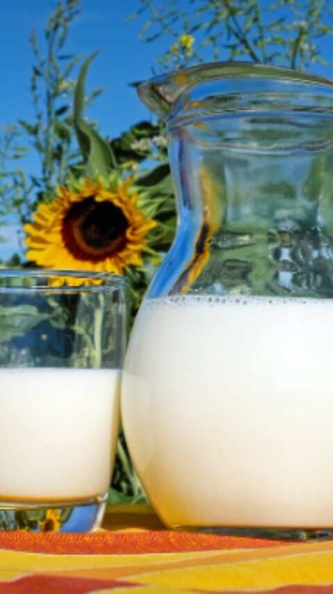 Benefits of toned milk