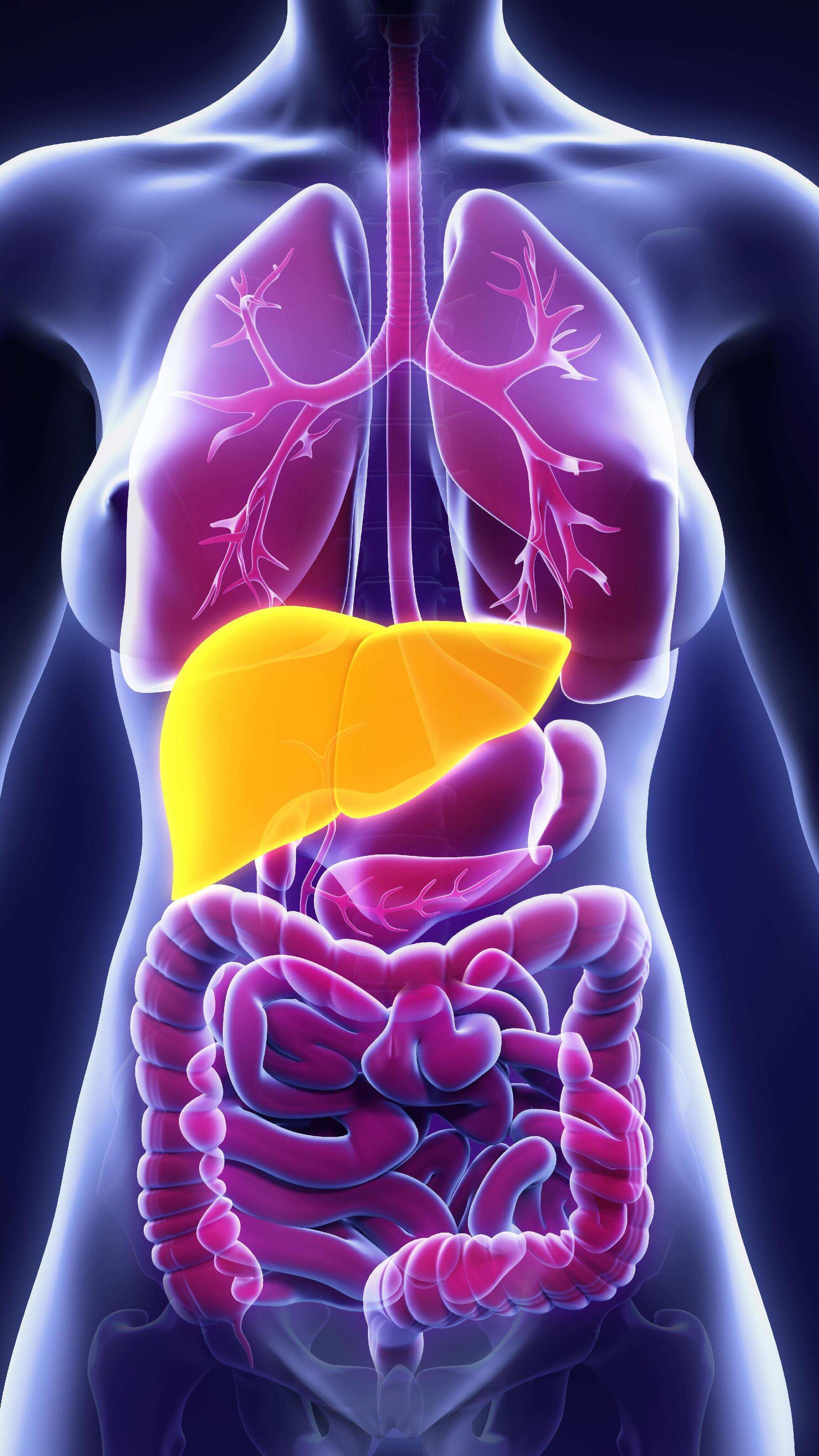 Foods To Eat And Avoid To Reverse Fatty Liver Disease Foods To Eat And Avoid To Reverse Fatty Liver Disease