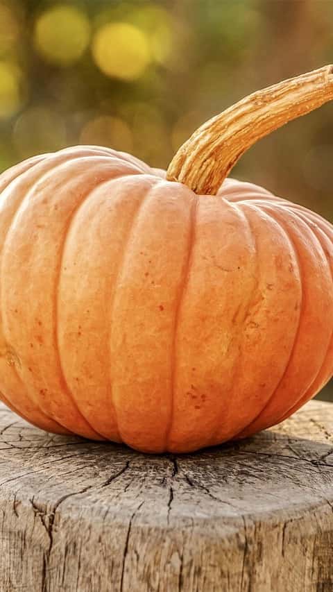 Weight loss: 6 benefits of pineapple that can help shed extra kilos