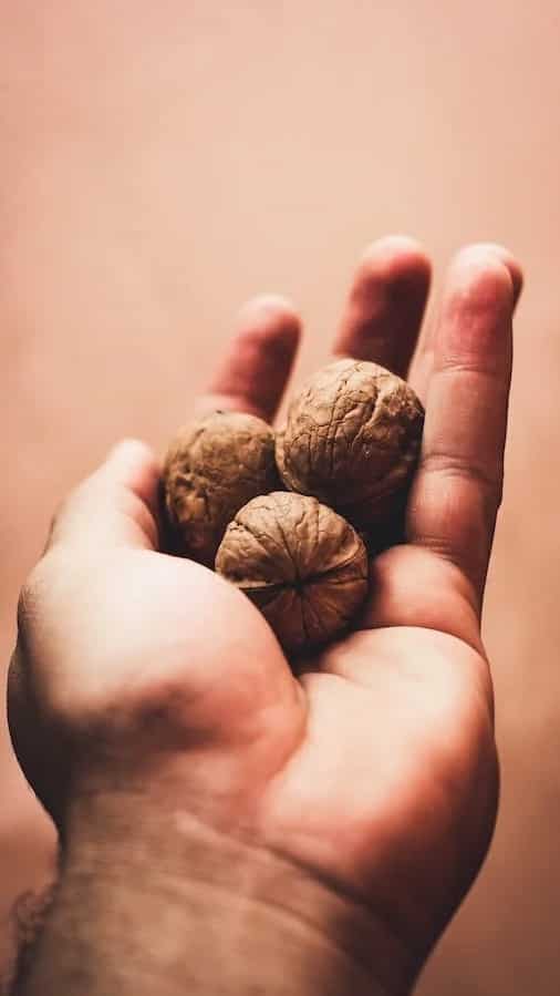10 health benefits of eating walnuts daily