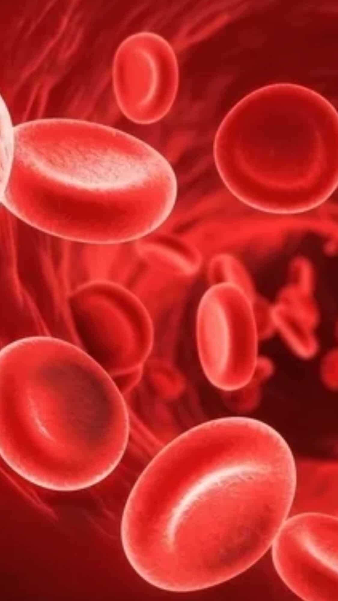 7 vegetarian foods to boost platelet count