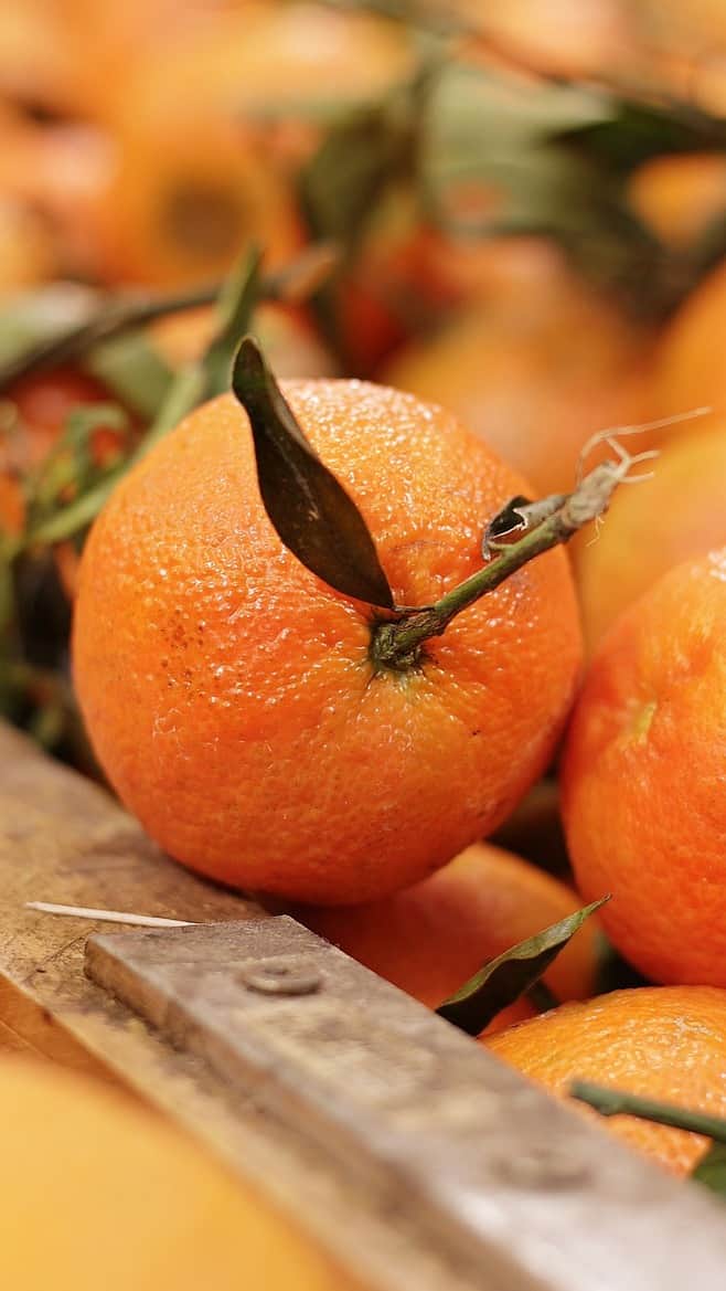 7 benefits of eating kinnow