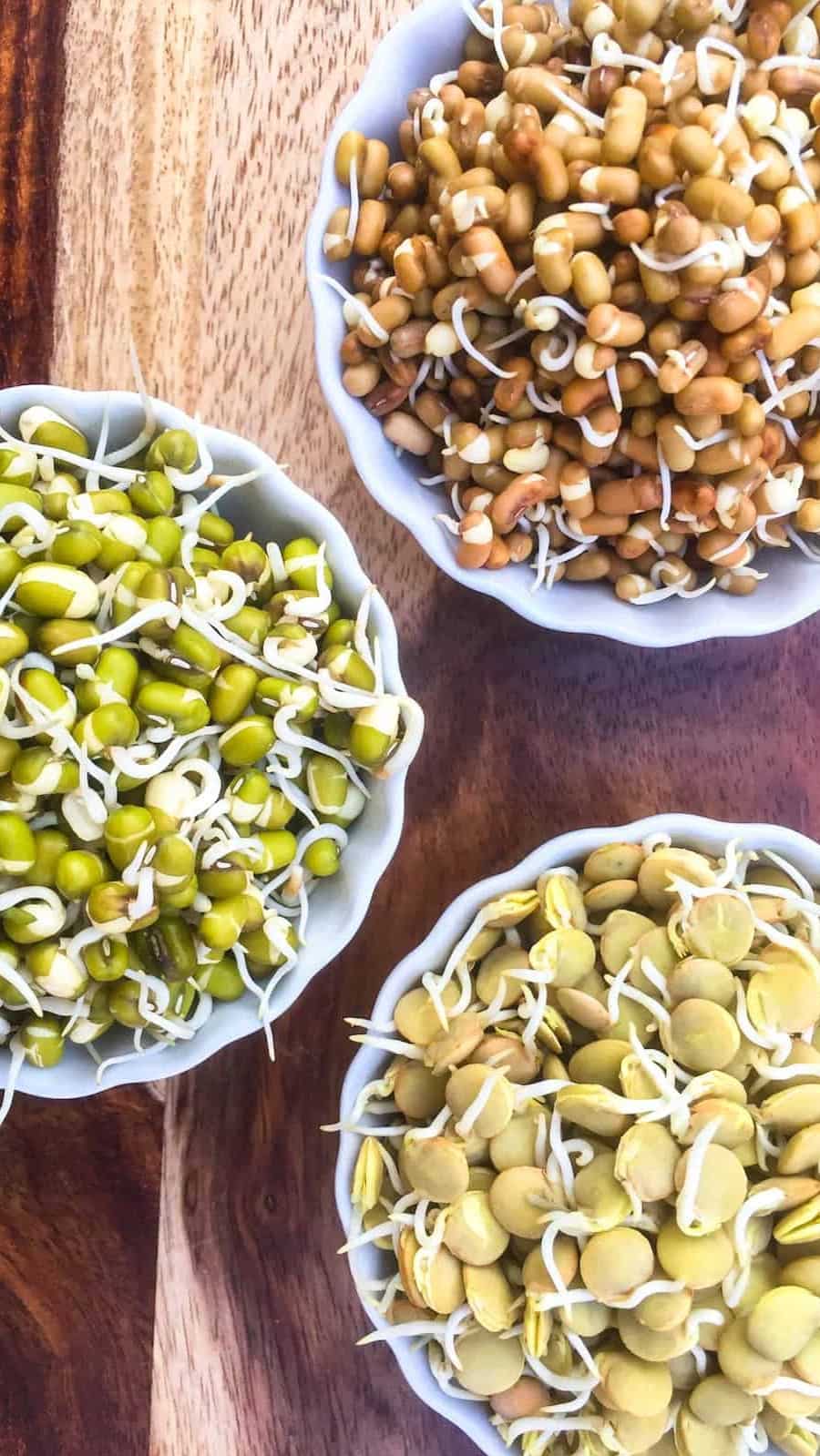 Health benefits of eating sprouts in breakfast