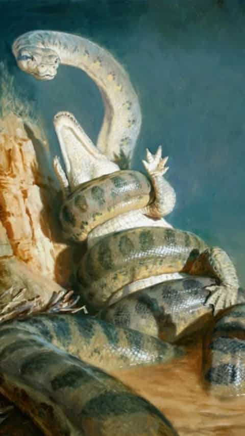 5 lethal snakes that are now extinct