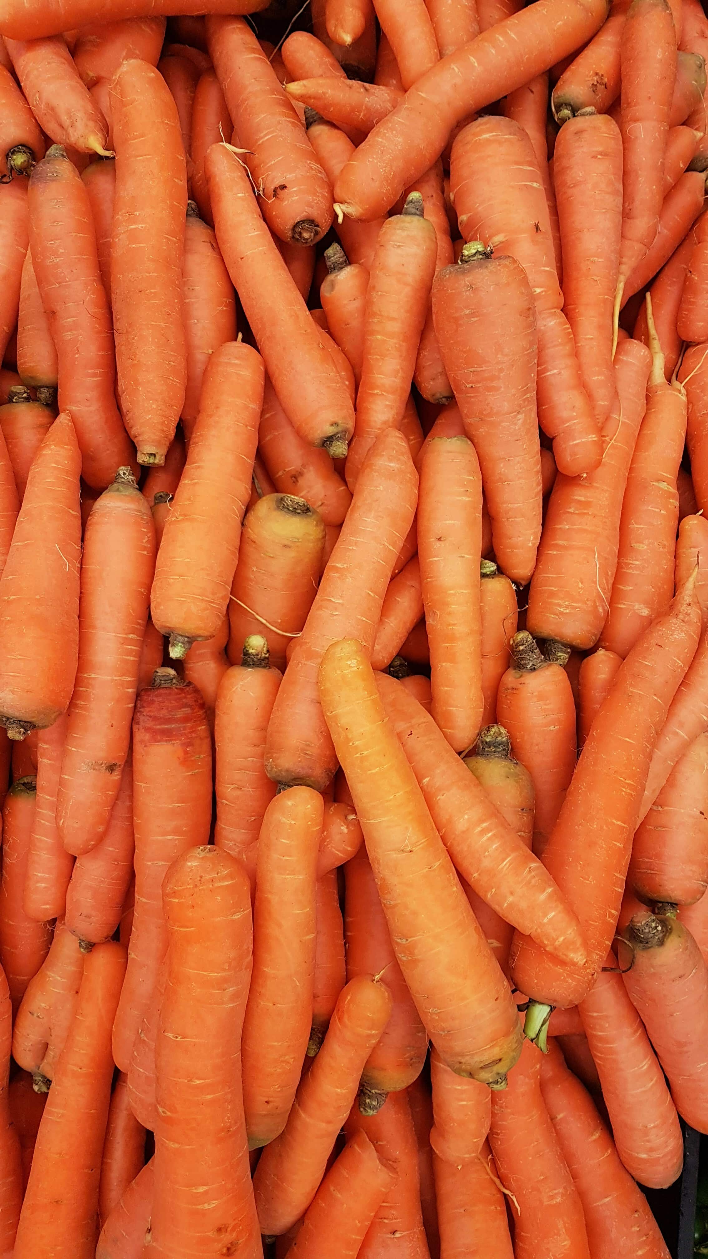 8 health benefits of carrots